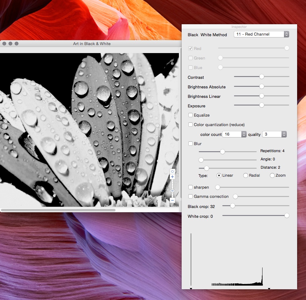 Art in Black & White - Amato Software